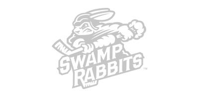 The Brand Leader | Branding, Web Design, Marketing | Greenville, SC